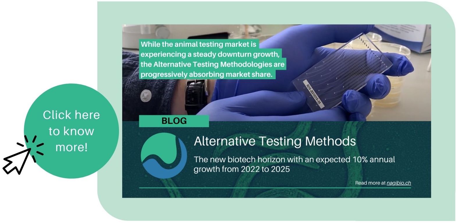 The 3Rs principle and animal testing - Nagi Bioscience