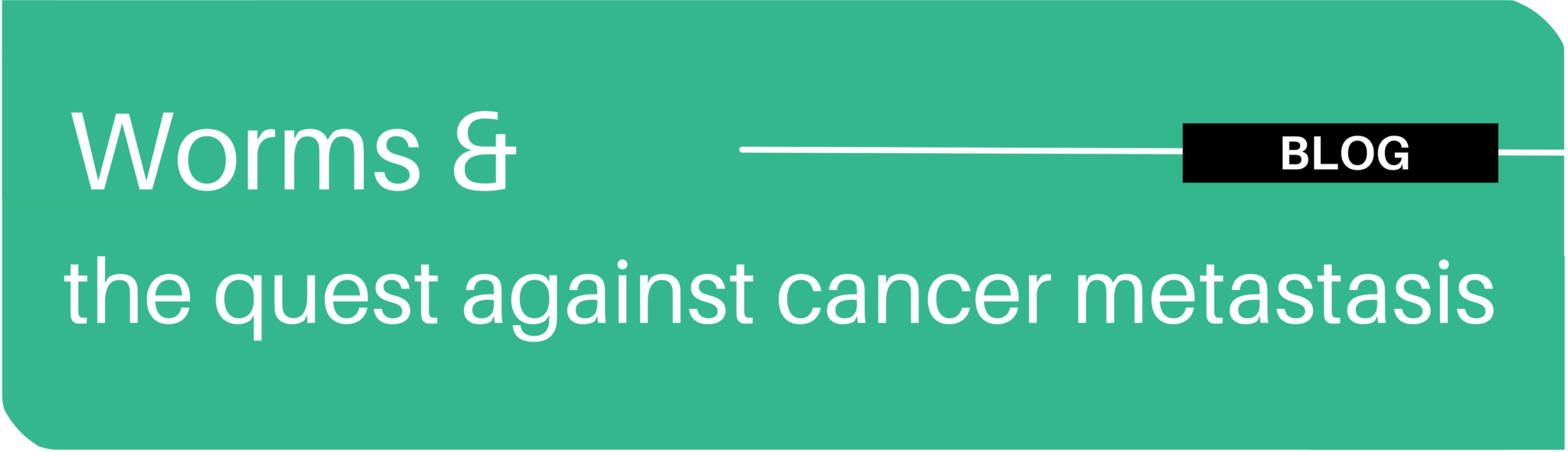 A 'Parts List' for cancer's spread: Worms to fight metastasis - Nagi ...